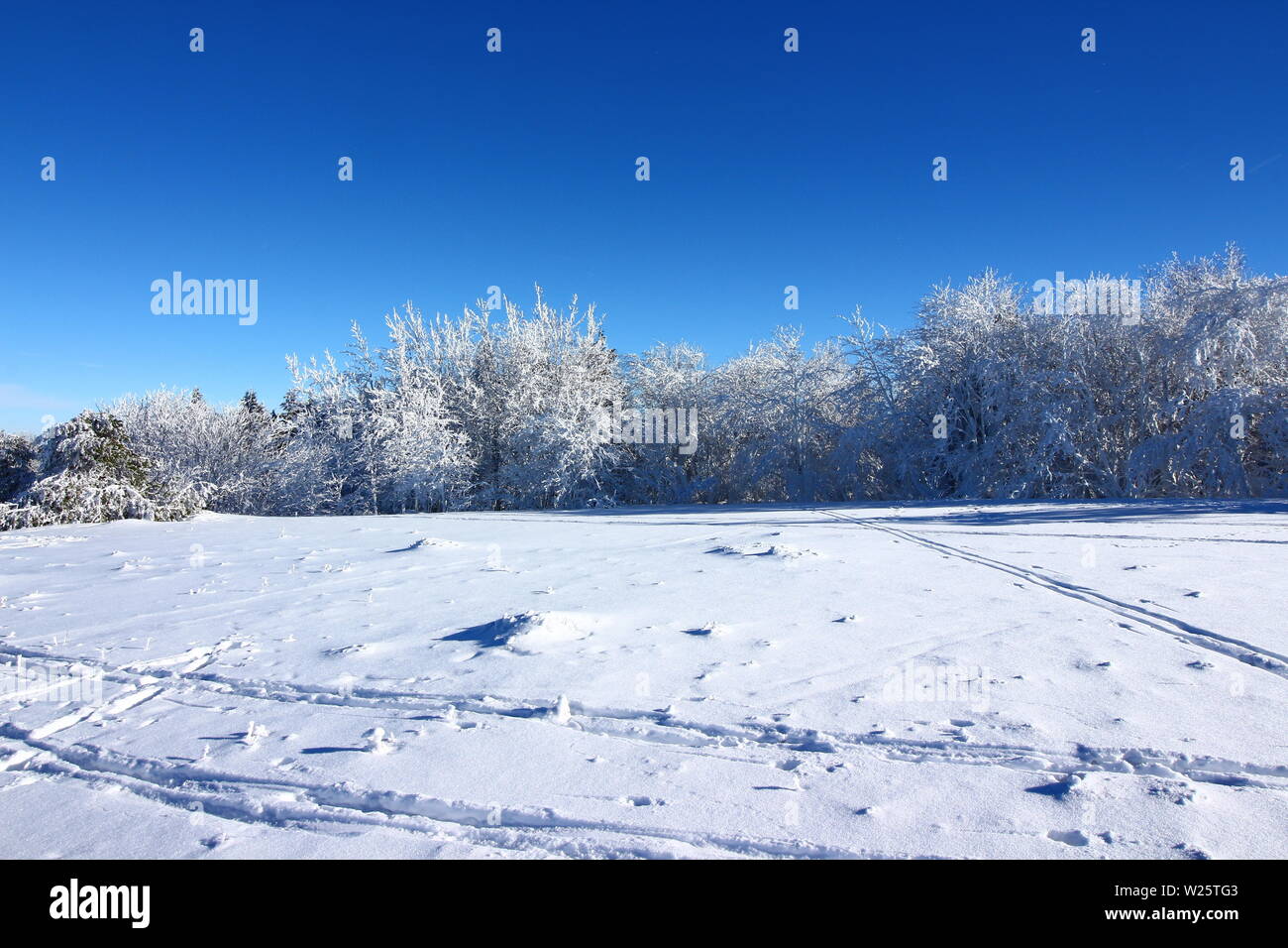 Bayerische rhon hi-res stock photography and images - Alamy