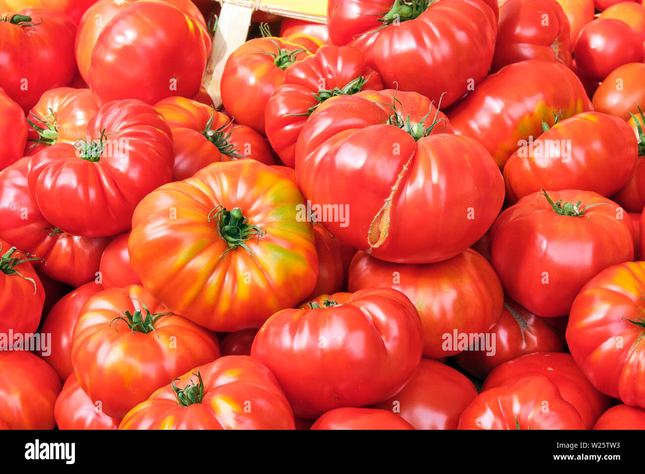 Fresh beef tomatoes for sale at a market Stock Photo - Alamy