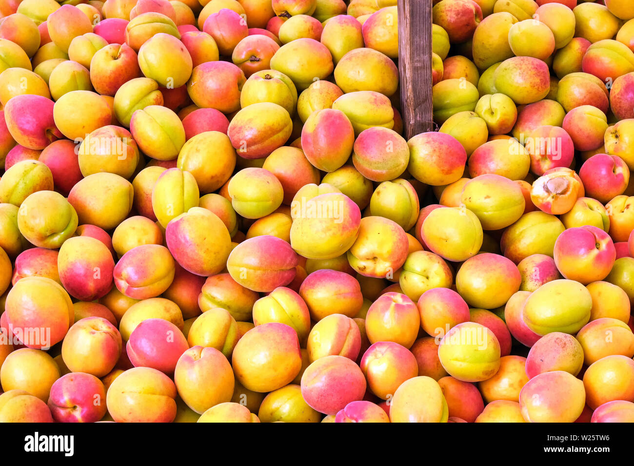 Yellow plums hi-res stock photography and images - Alamy