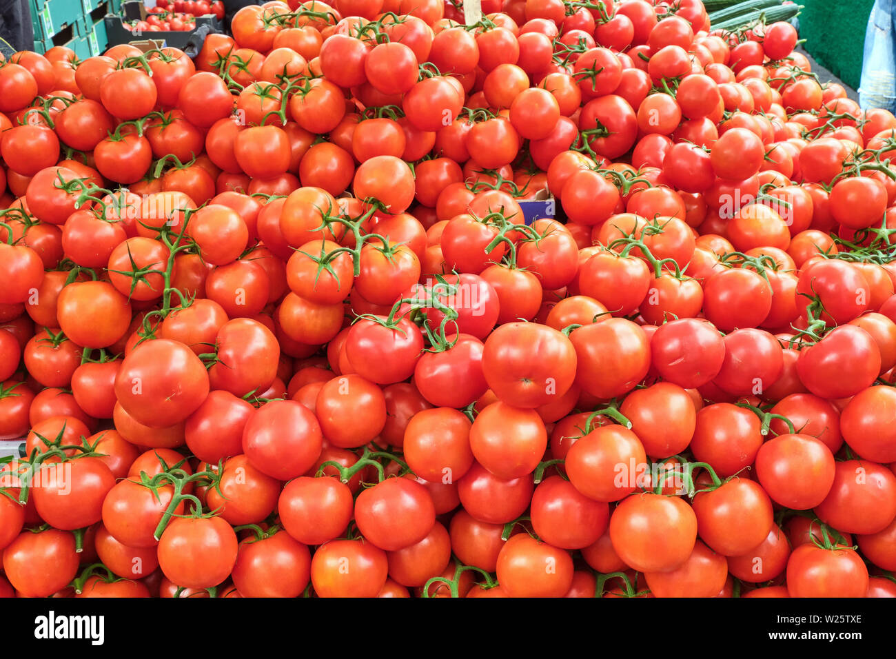 Big juicy tomatoes hi-res stock photography and images - Alamy