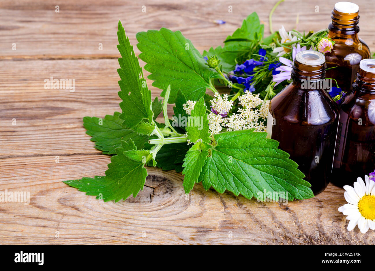 Pharmaceutical tincture, extract of herbs in dark medical bottle Stock ...