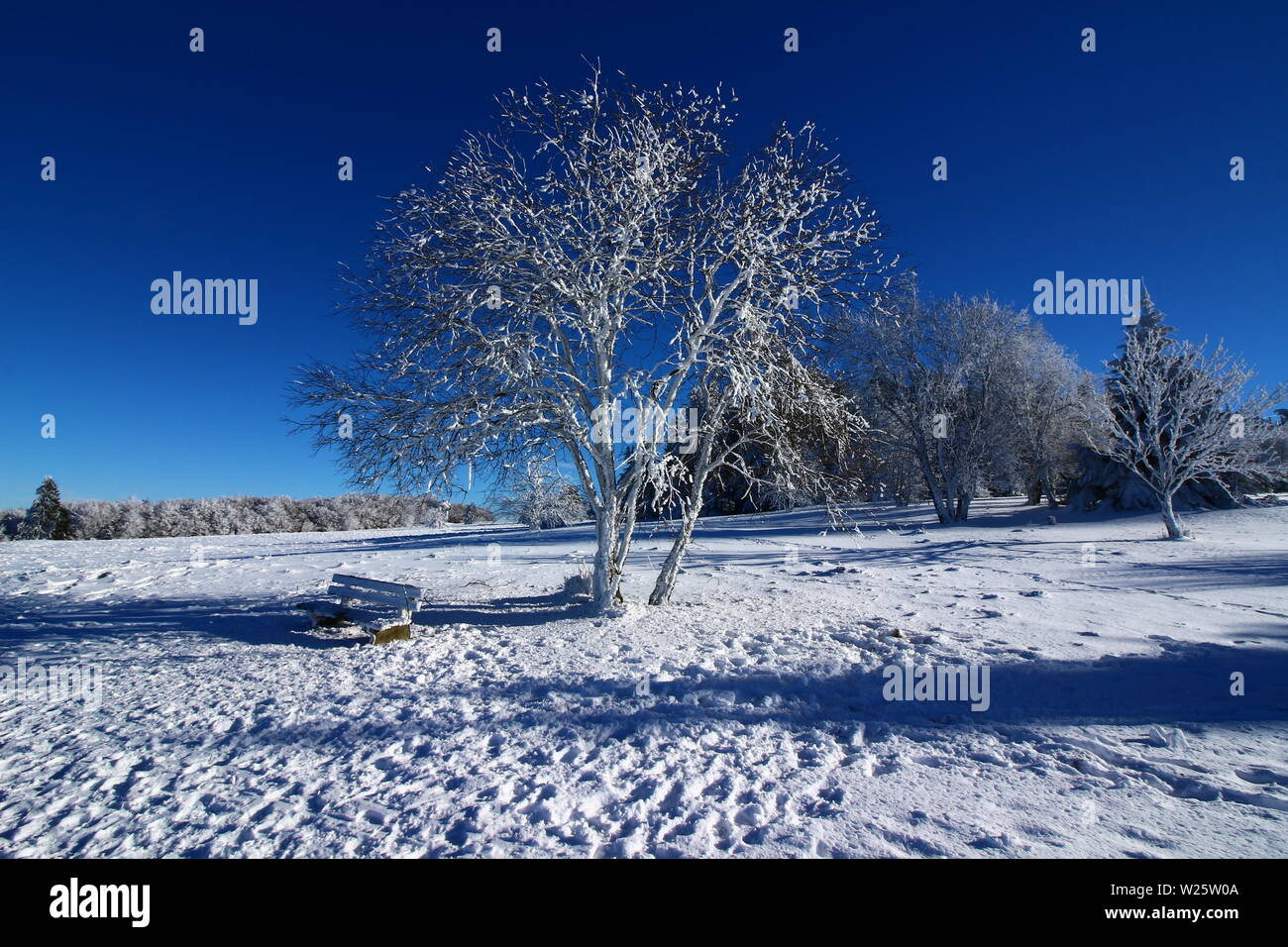 Bayerische Rhon High Resolution Stock Photography and Images - Alamy