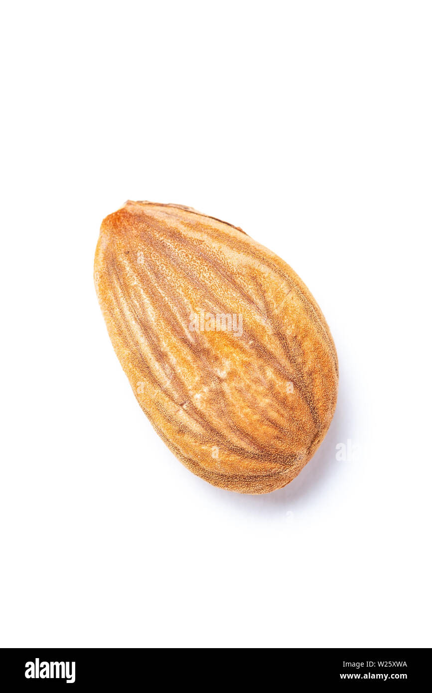 Apricot kernel (seed) isolated on white background Stock Photo - Alamy