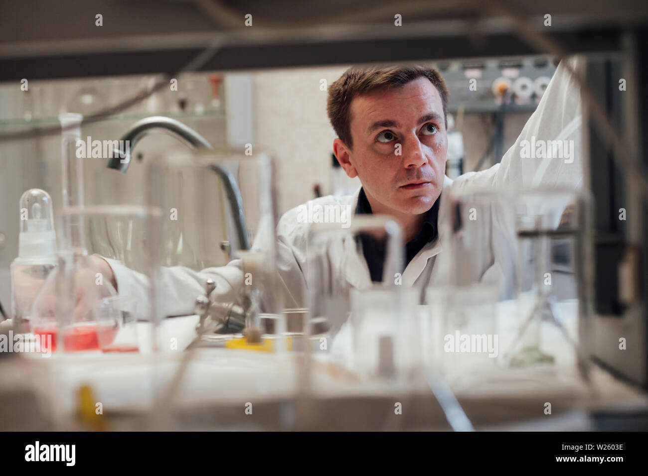 Scientist in a laboratory analyzes lab. analysis, dna, bio ...