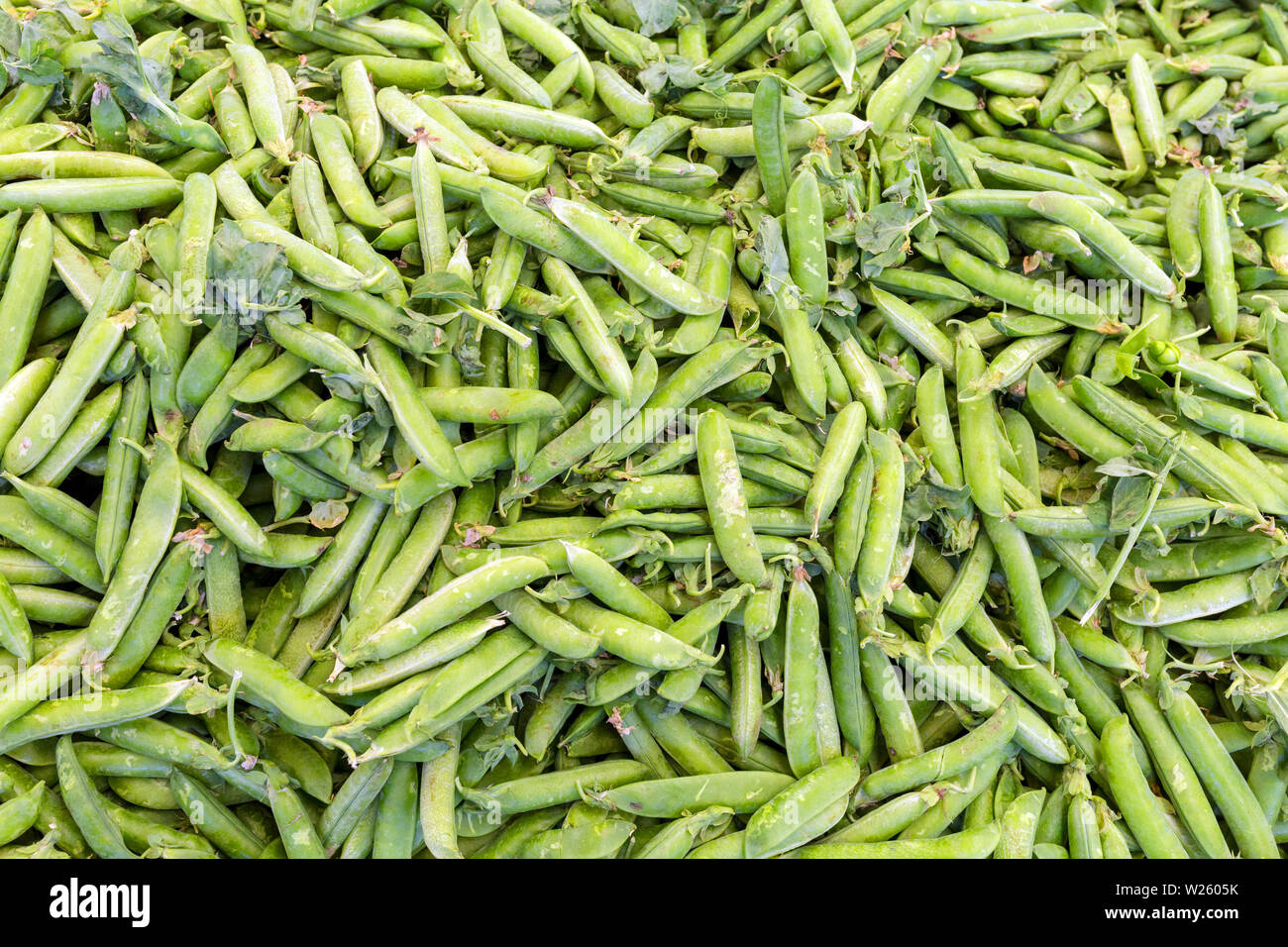 Pea circle hi-res stock photography and images - Alamy