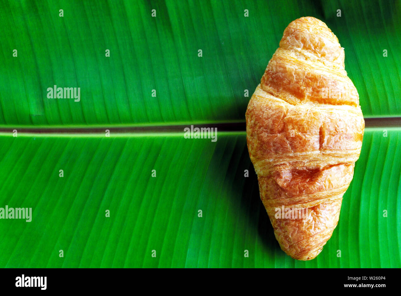 The croissant cut in the middle for stuffing placed on a bright green ...