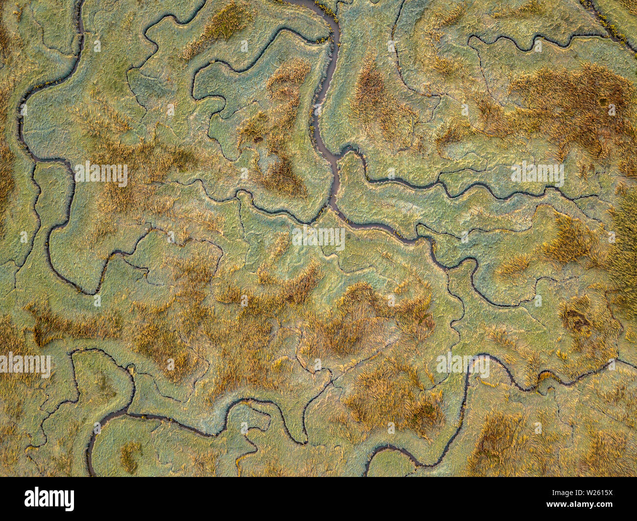 Aerial top down view of tidal marshland with natural meandering ...