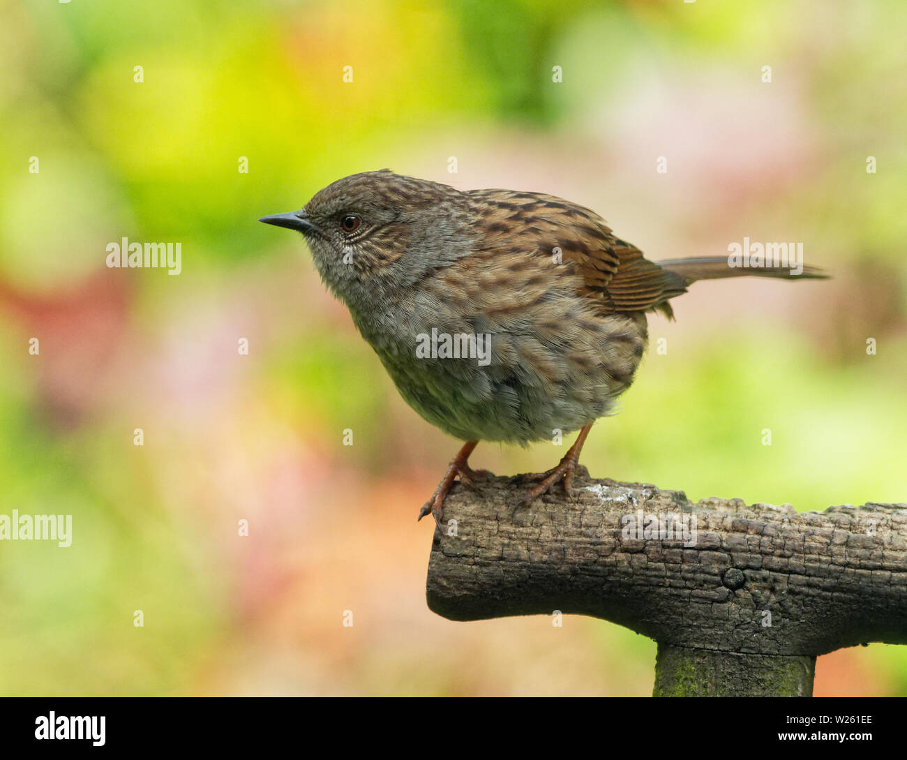 Linclonshire hi-res stock photography and images - Alamy