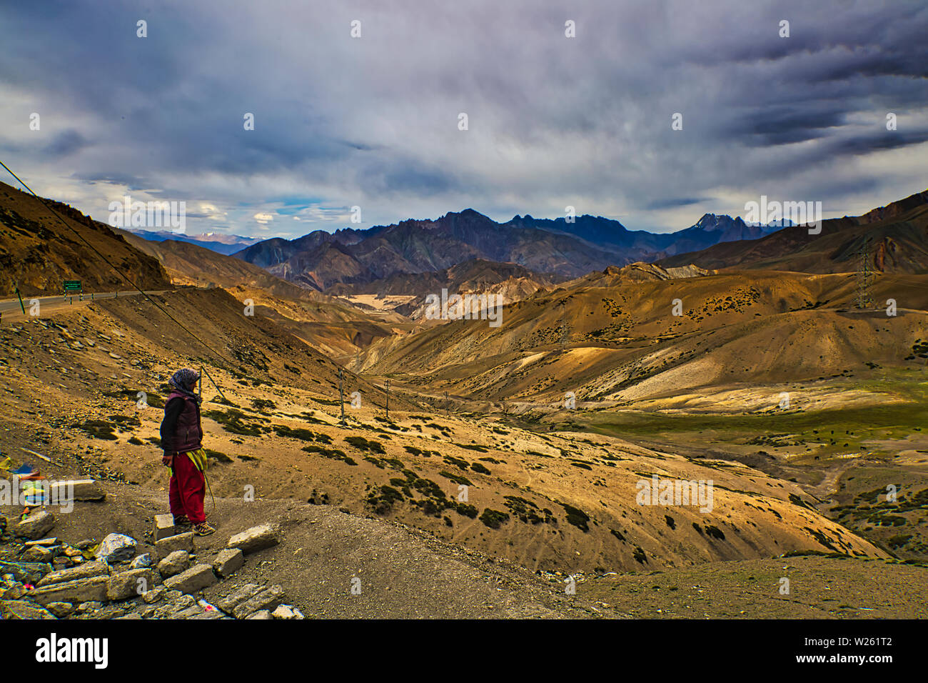 A shepherd watching over her sheep somewhere in Ladakh, India Stock ...