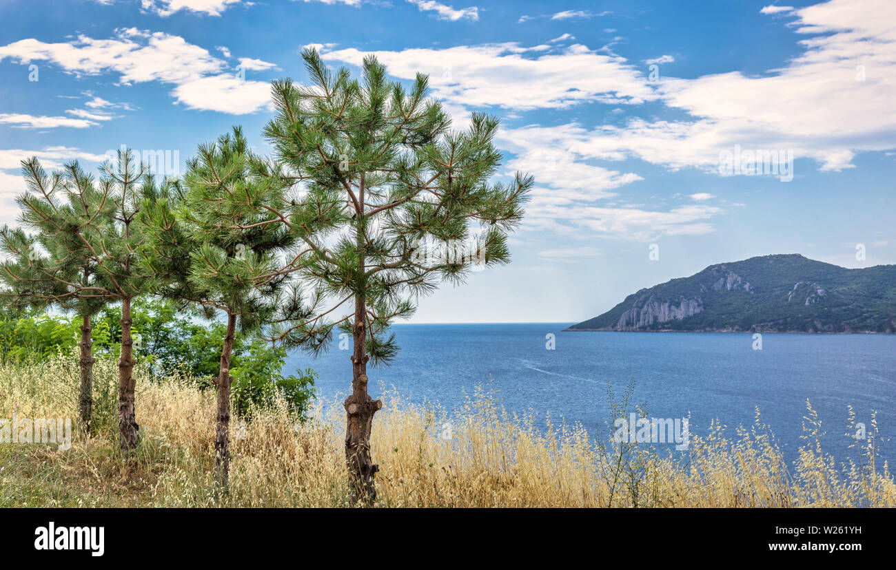 Beautiful summer landscape in a sunny day with clouds. Beauty of nature ...