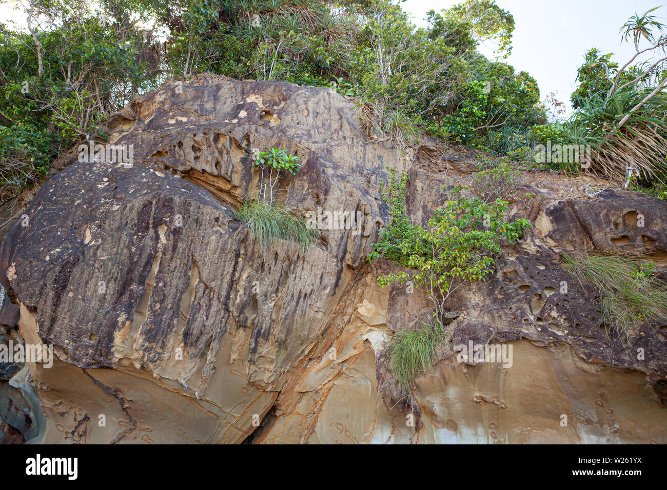 Beautiful sandstone rock at beach Stock Photo - Alamy
