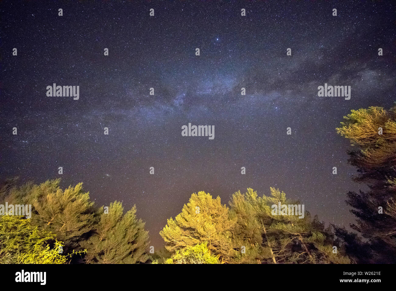 Milky way trees astrophotography forest hi-res stock photography and ...