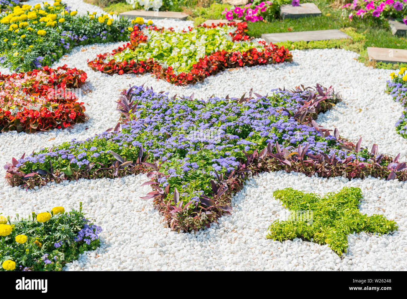 Stars of flowers. Flower bed in the form of a starry sky Stock Photo ...