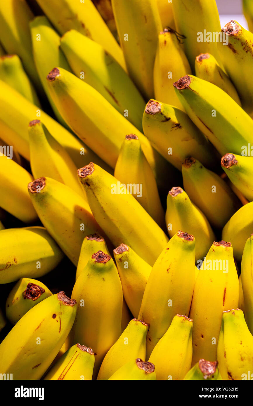 Closely bunched together hi-res stock photography and images - Alamy