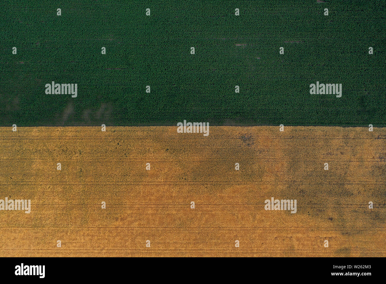 Aerial drone photography of farm lands. Agricultural parcels of flat ...