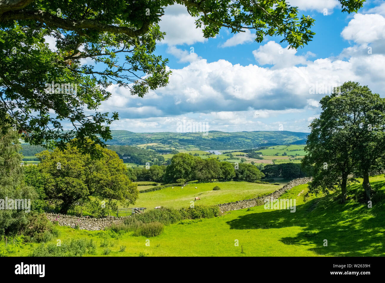 The Conwy Valley / Afon Conwy in North Wales,UK Stock Photo - Alamy