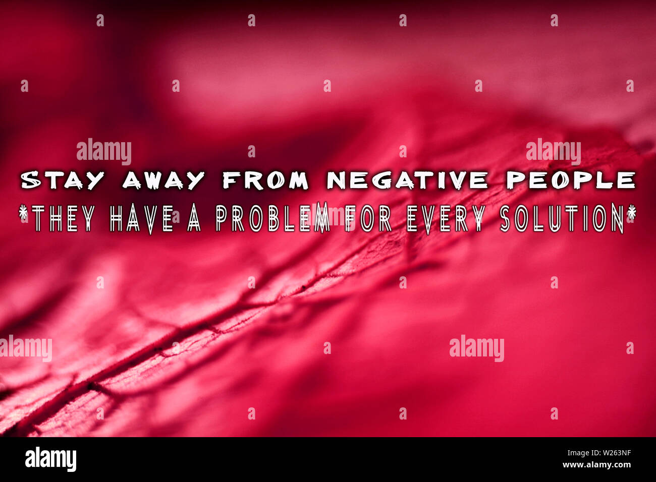 Stay away quote macro background high quality prints products Stock ...