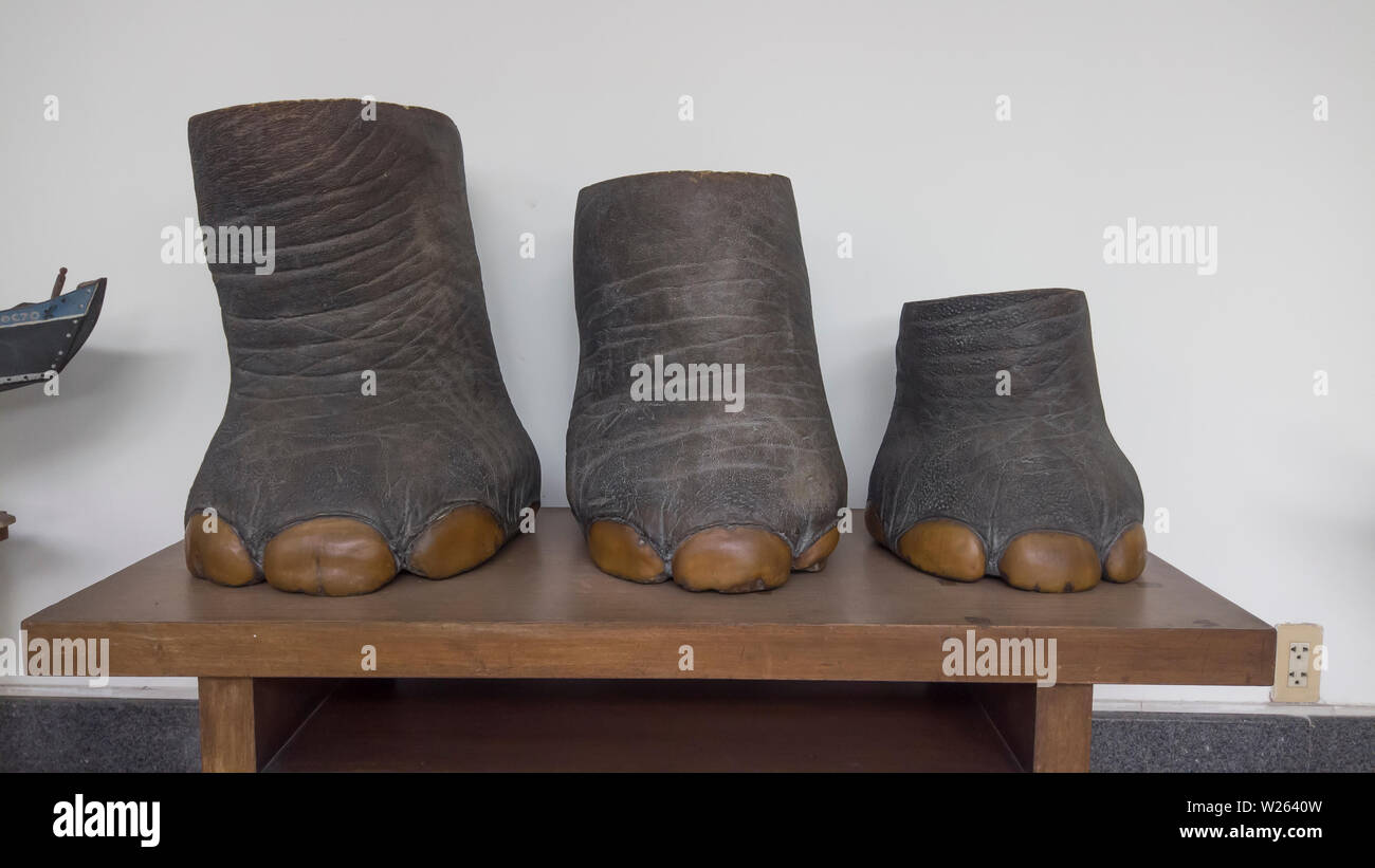 Elephant trophies hi-res stock photography and images - Alamy