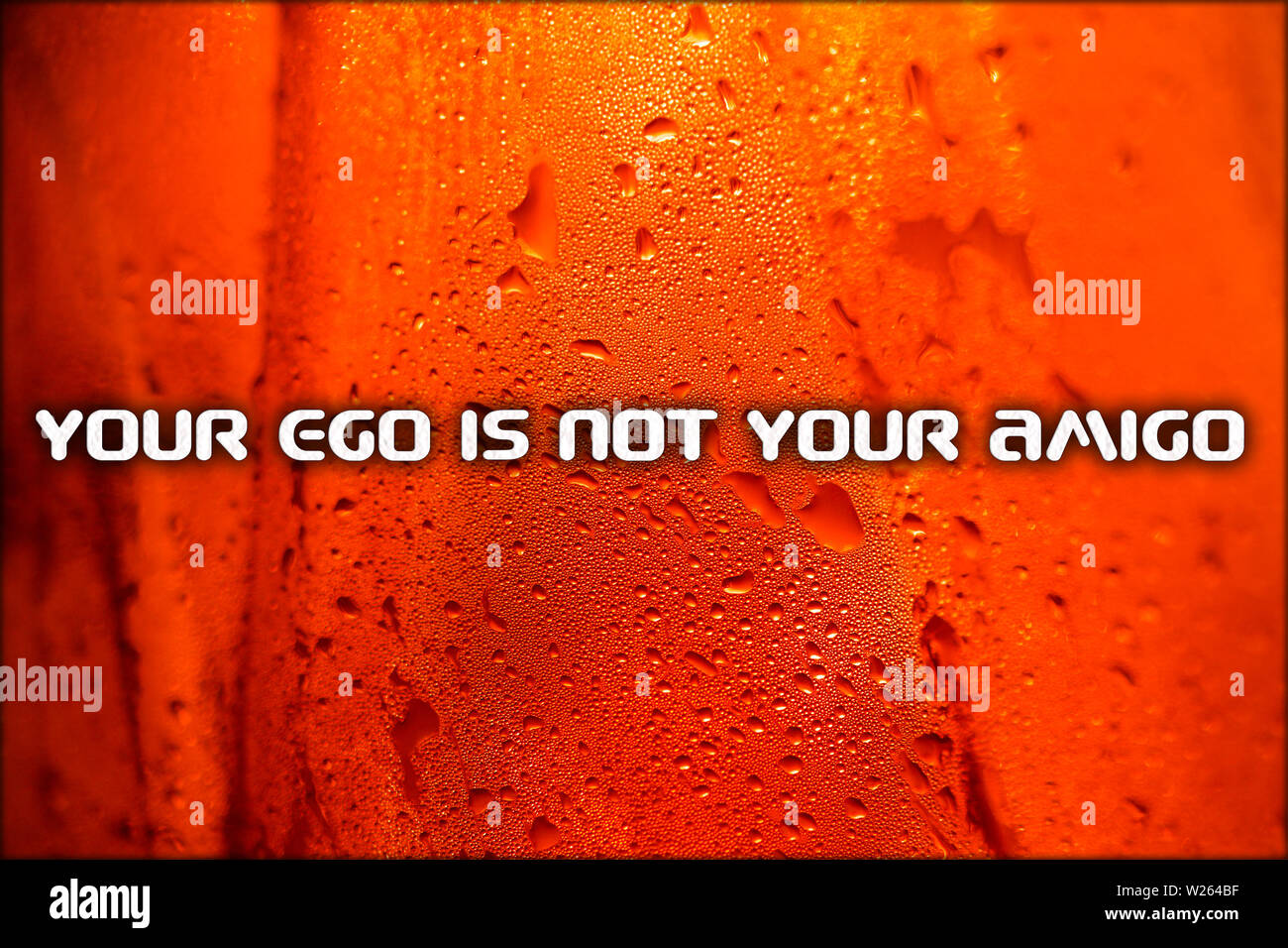 Ego Wallpaper Quotes