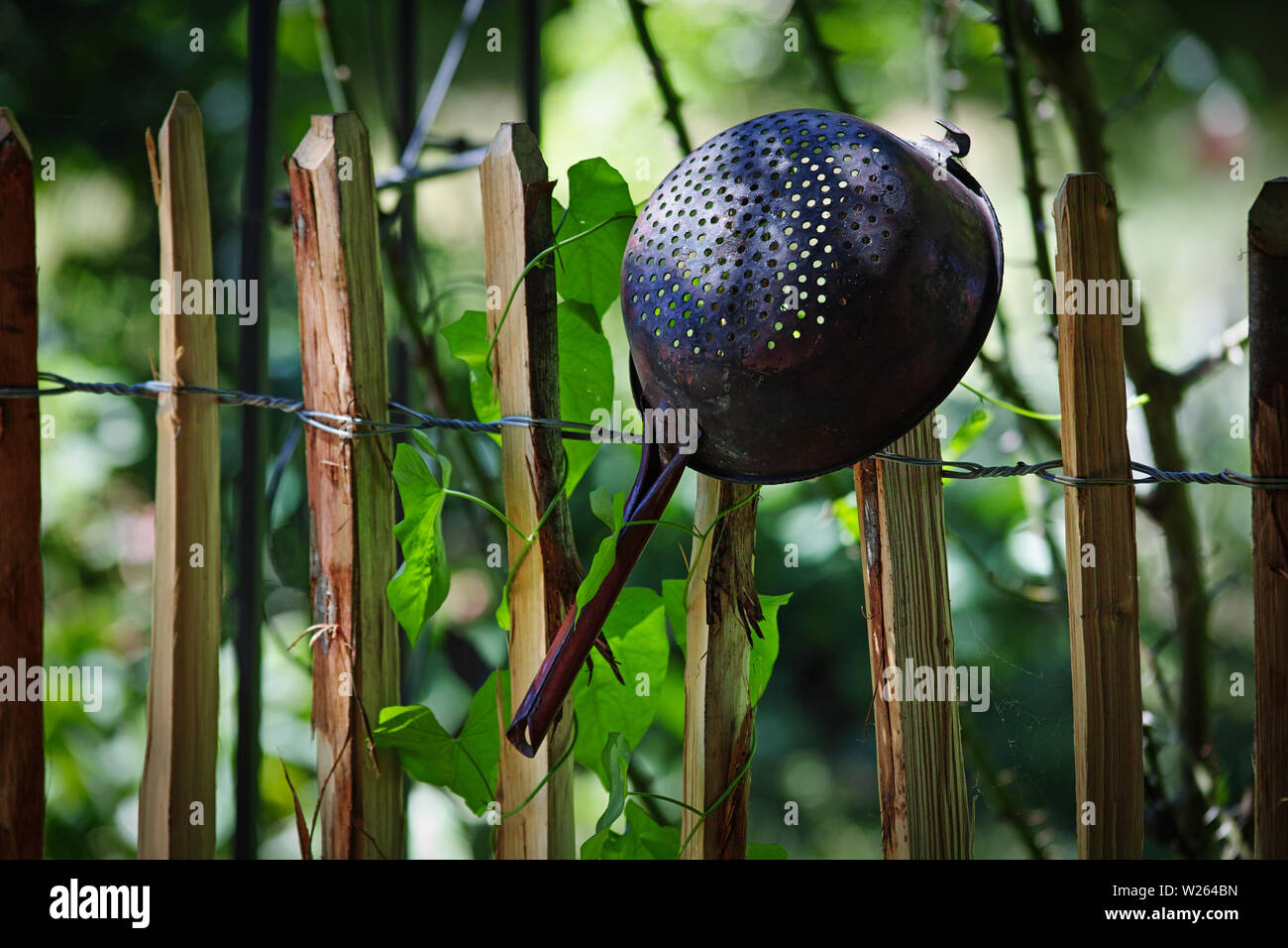 hanging old sieve on fence in garden Stock Photo - Alamy