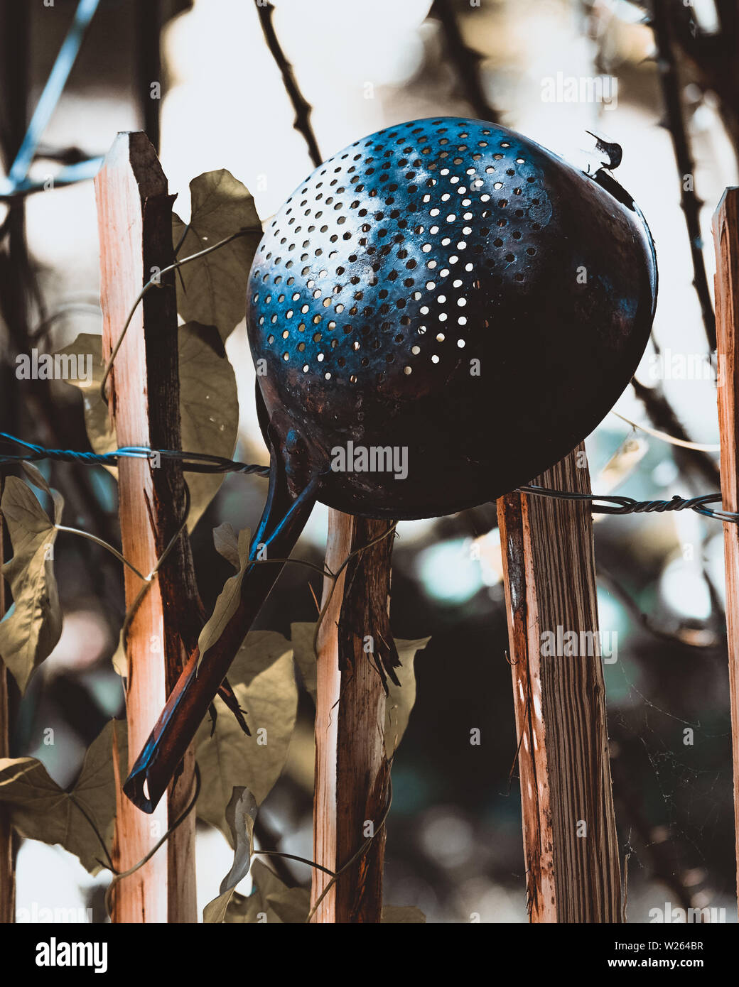 hanging old sieve on fence in garden Stock Photo - Alamy