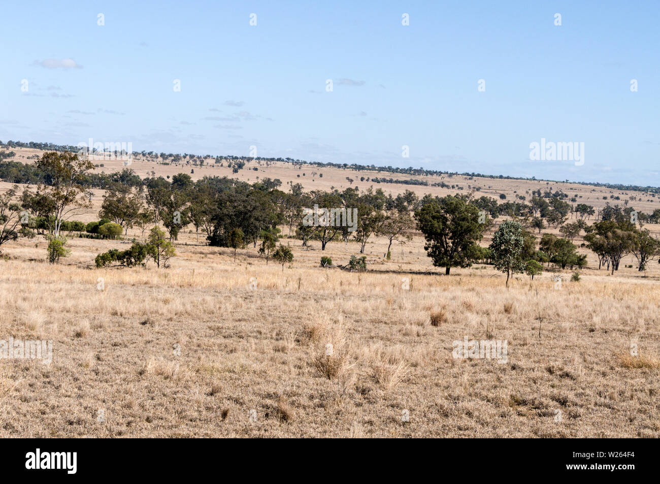 Beef farming country in Queensland, Australia Stock Photo - Alamy