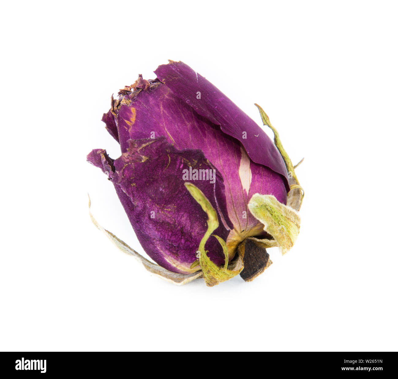 Withered roses on white background Stock Photo - Alamy