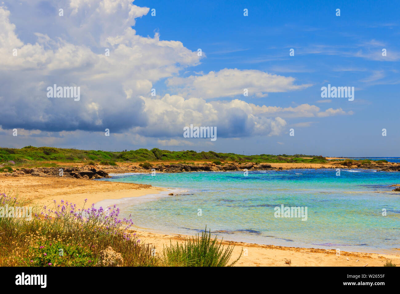 Salento coast: Lido Marini beach (Lecce). ITALY,(Apulia). Marine dunes ...