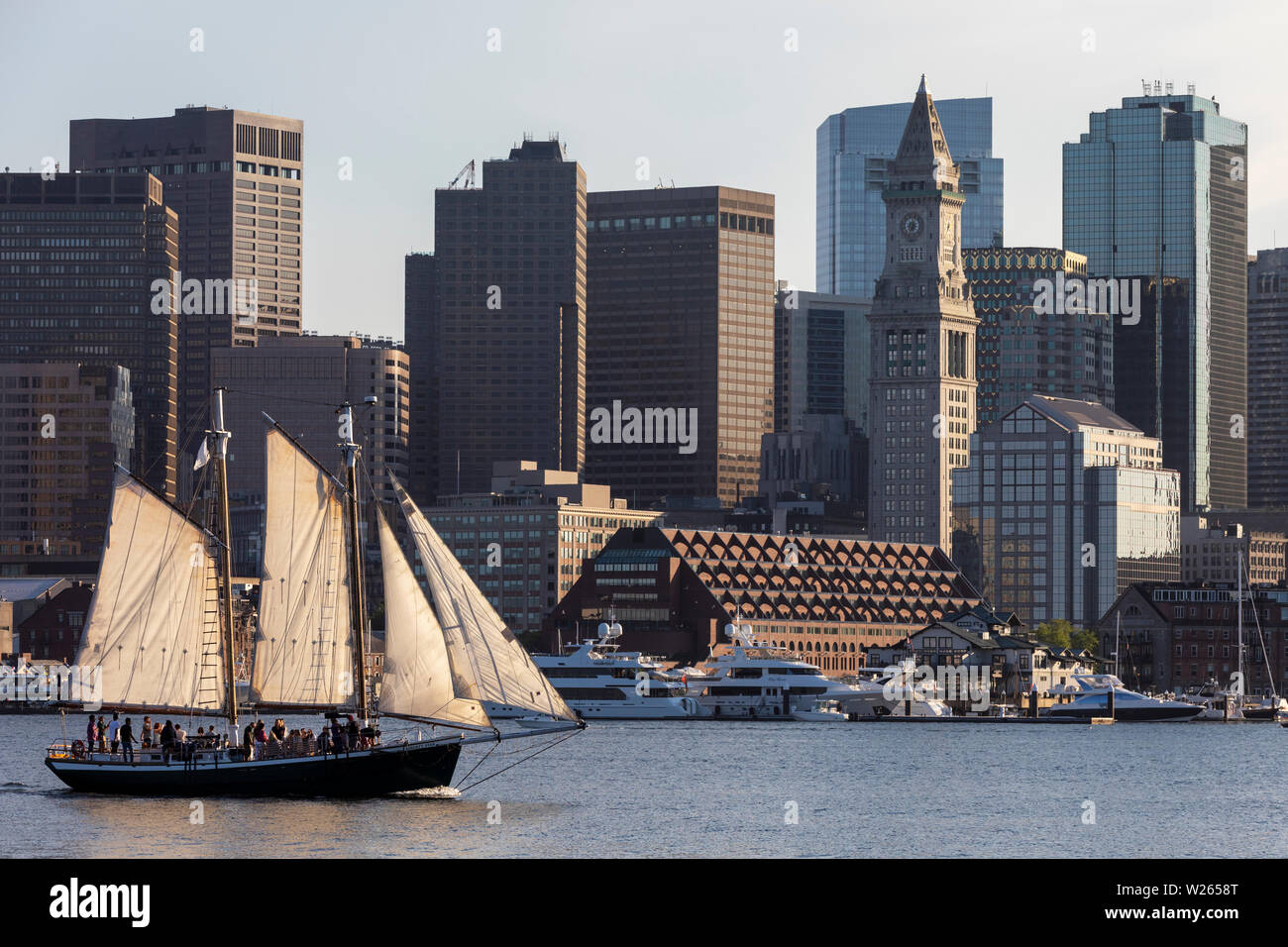 Sail boat, Boston Harbor, skyline, Boston, Massachusetts, USA Stock ...