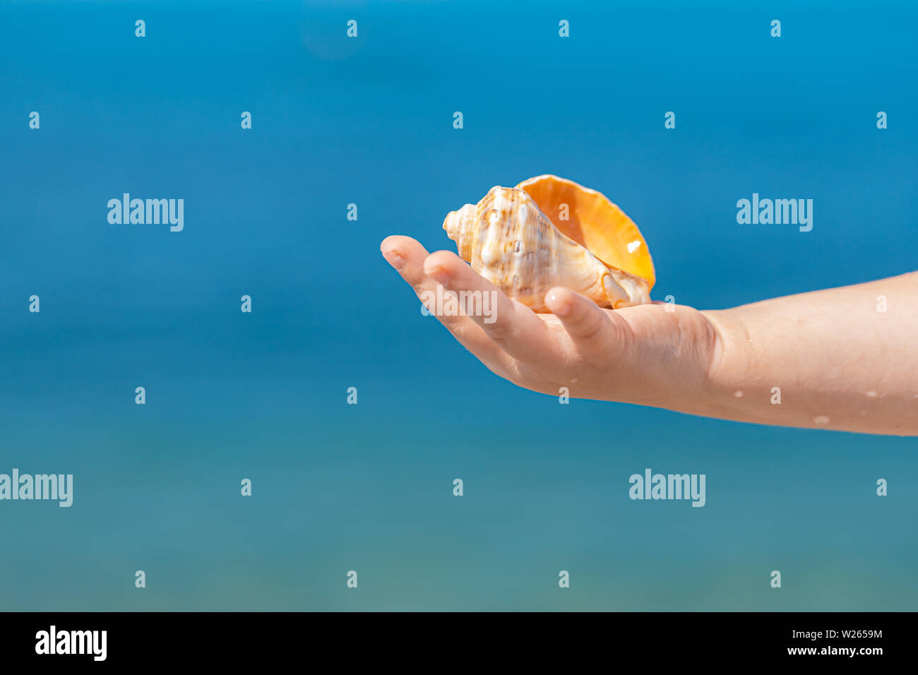 Child shell hi-res stock photography and images - Alamy