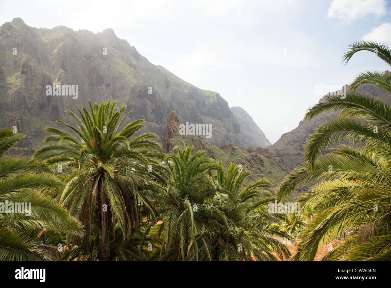 Tropical valley hi-res stock photography and images - Alamy