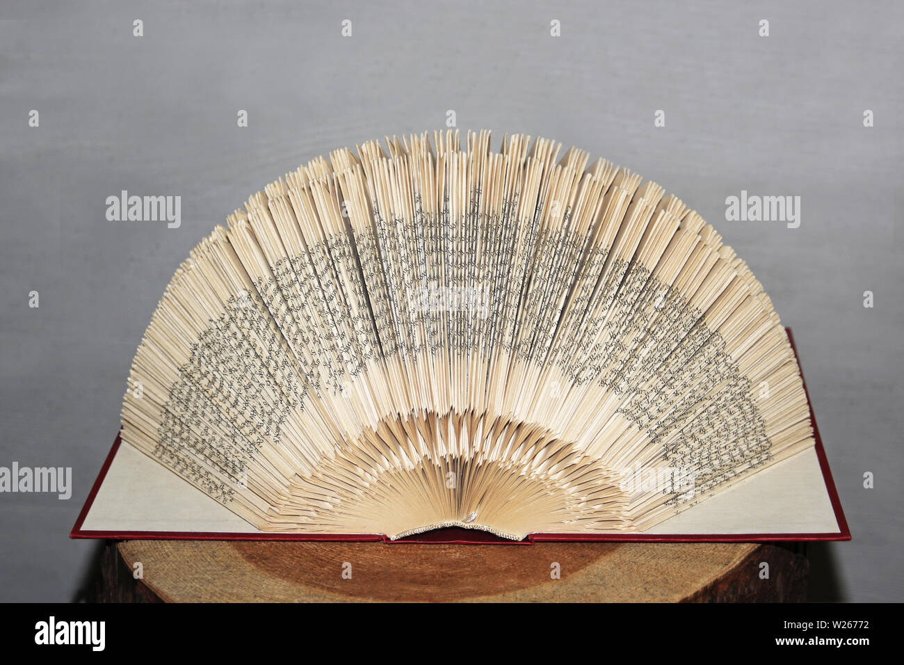 paperwork, pages of an old book folded into a fan, building a new shape ...