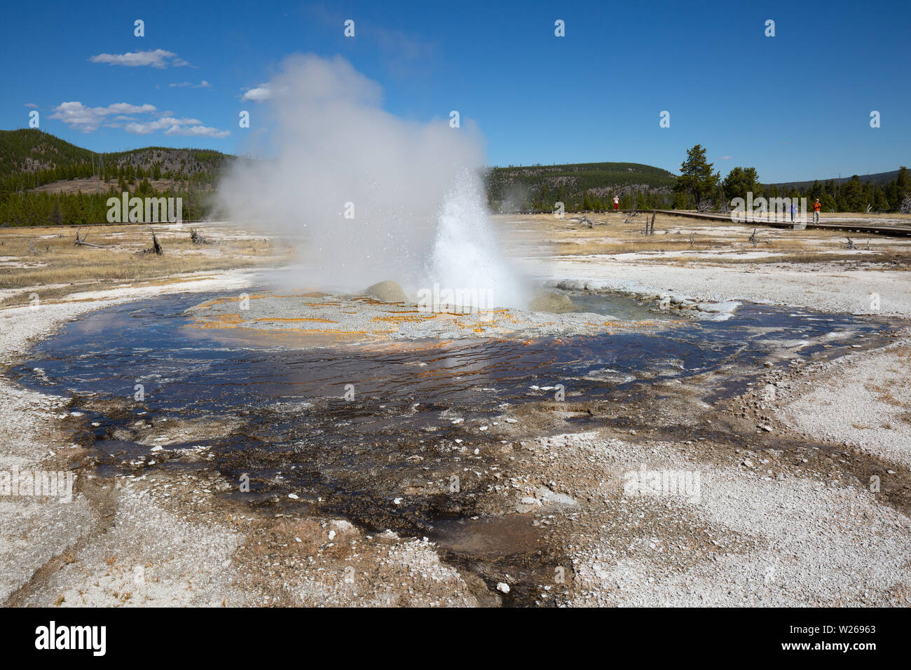 Jewel Geyser eruption in the Yellowstone national park, USA Stock Photo ...