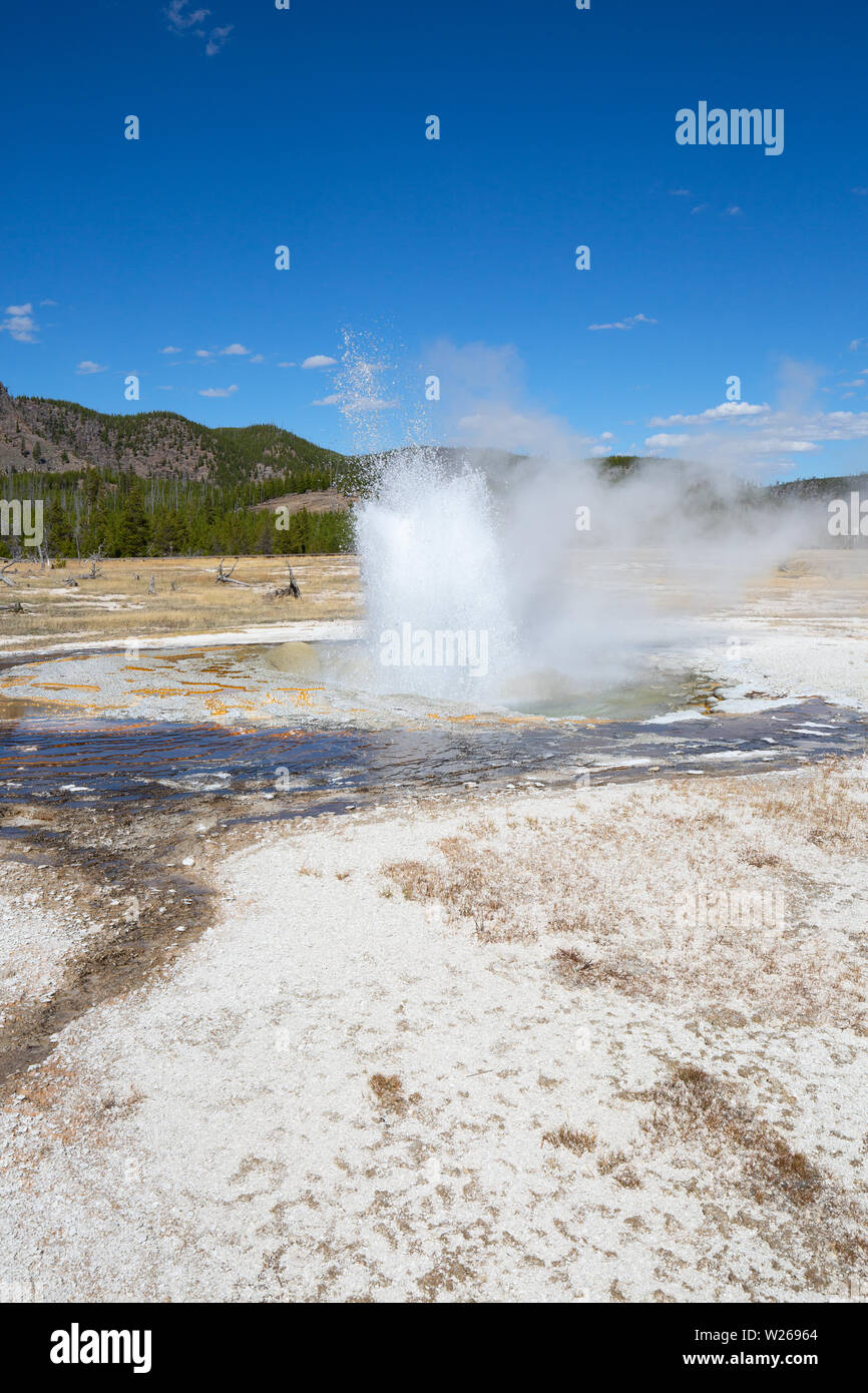 Jewel Geyser eruption in the Yellowstone national park, USA Stock Photo ...