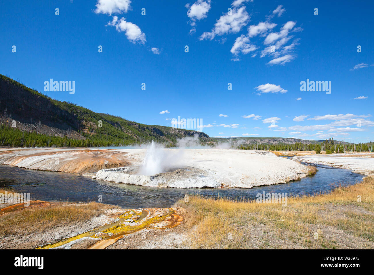 Jewel Geyser eruption in the Yellowstone national park, USA Stock Photo ...