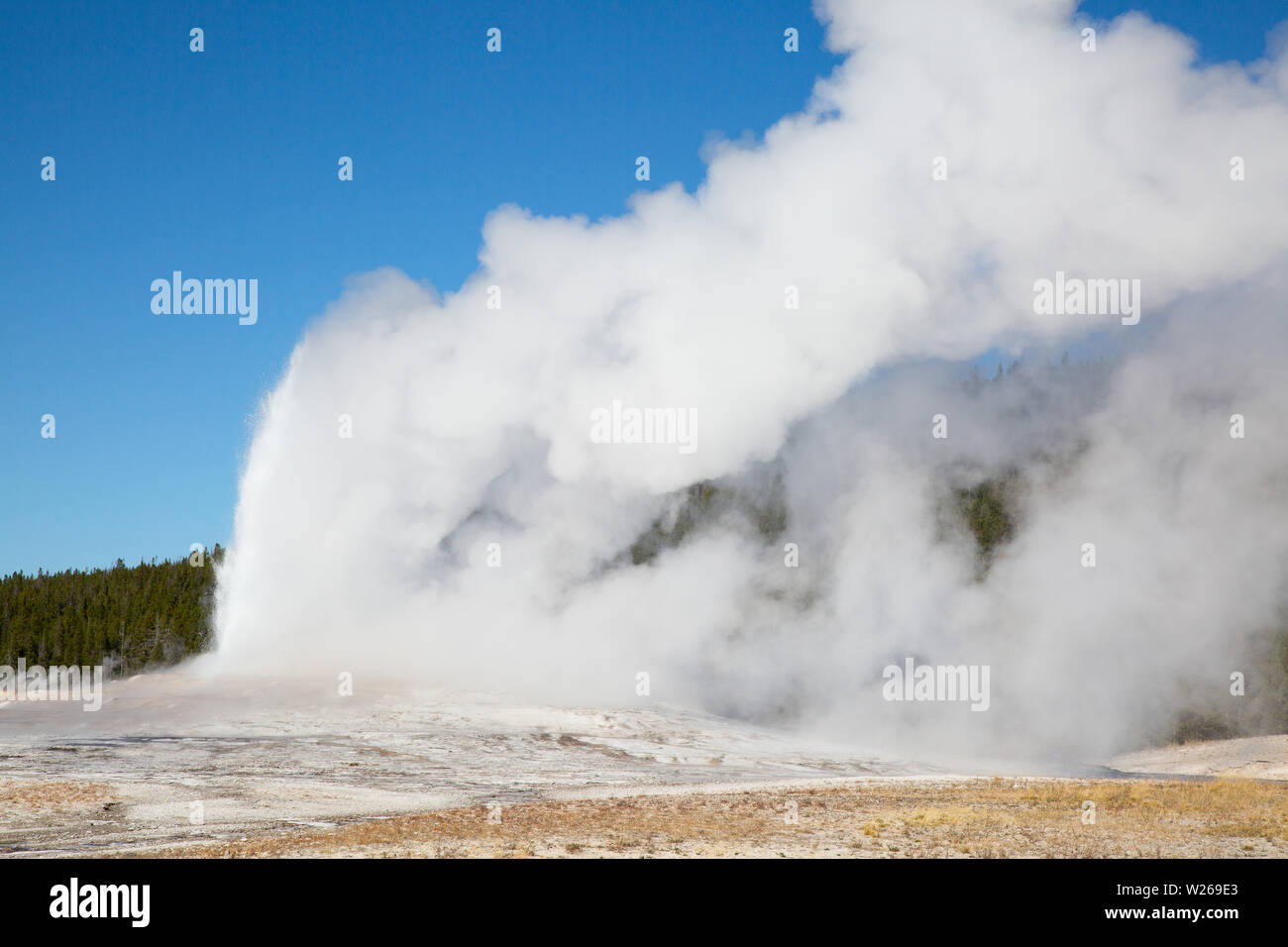 Old Faithful Geyser eruption in the Yellowstone national park, USA ...