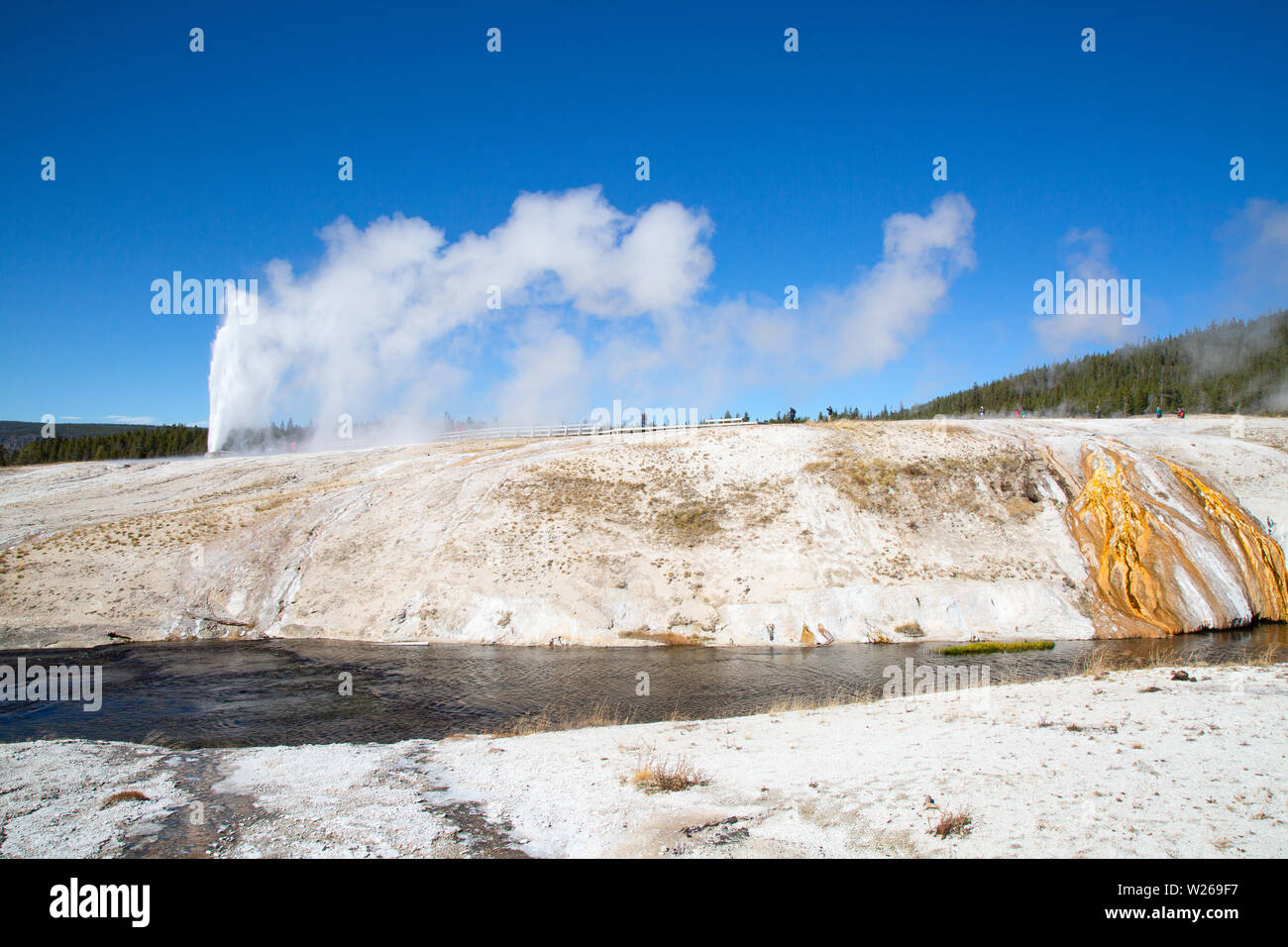 Cone Geyser eruption in the Yellowstone national park, USA Stock Photo ...