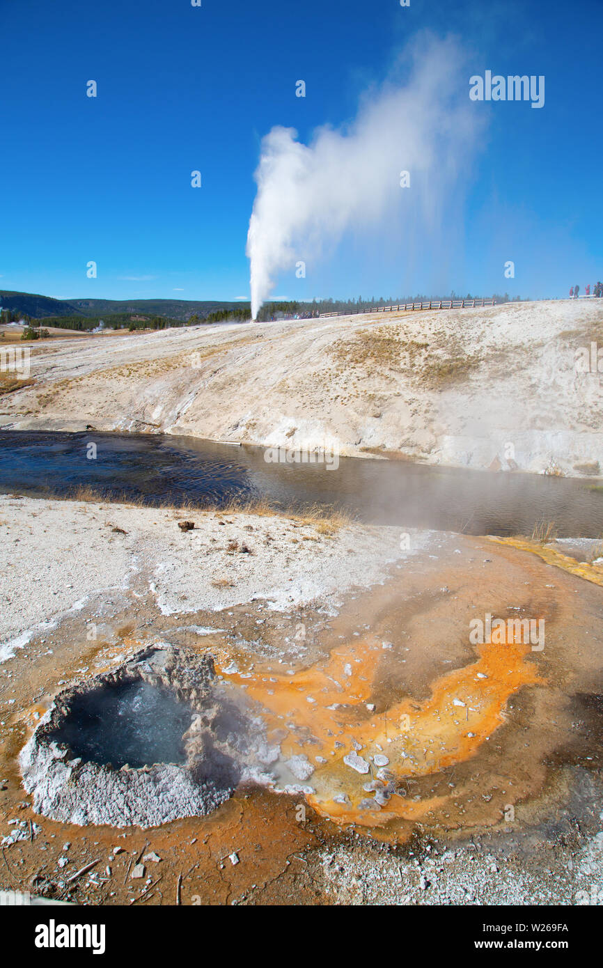 Cone Geyser eruption in the Yellowstone national park, USA Stock Photo ...
