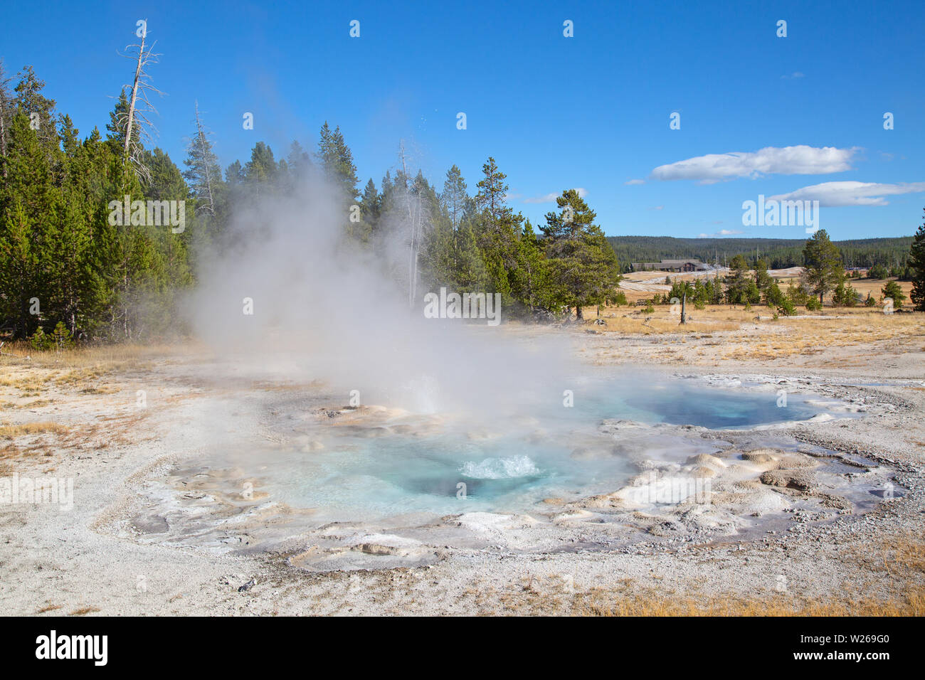 Colorful hot water pool in the Yellowstone National park, USA Stock ...
