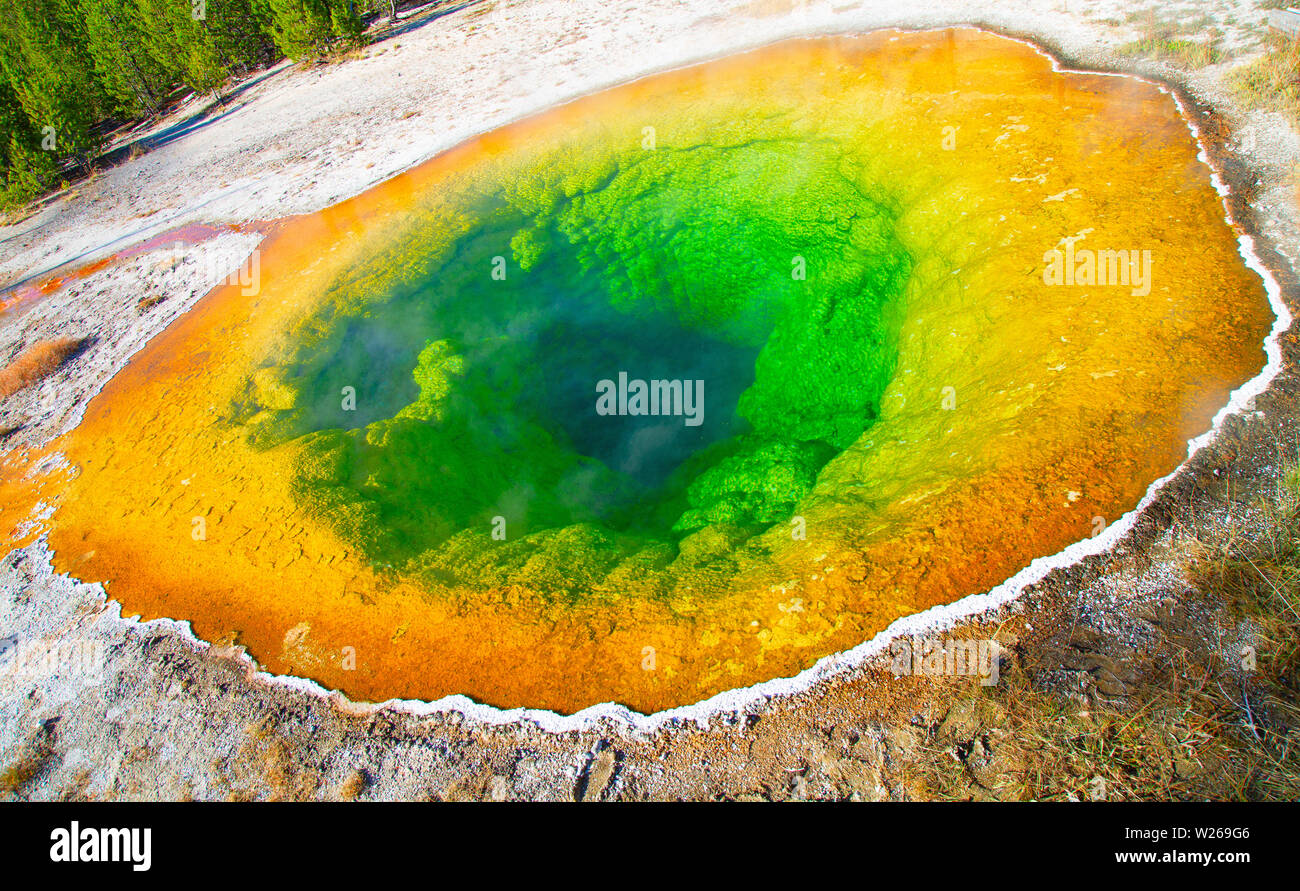 Colorful hot water pool in the Yellowstone National park, USA Stock ...