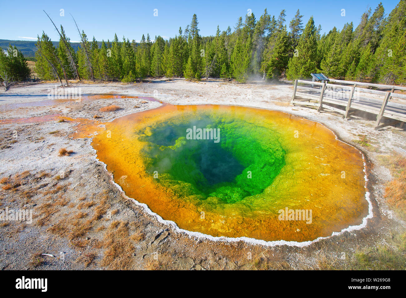 Colorful hot water pool in the Yellowstone National park, USA Stock ...