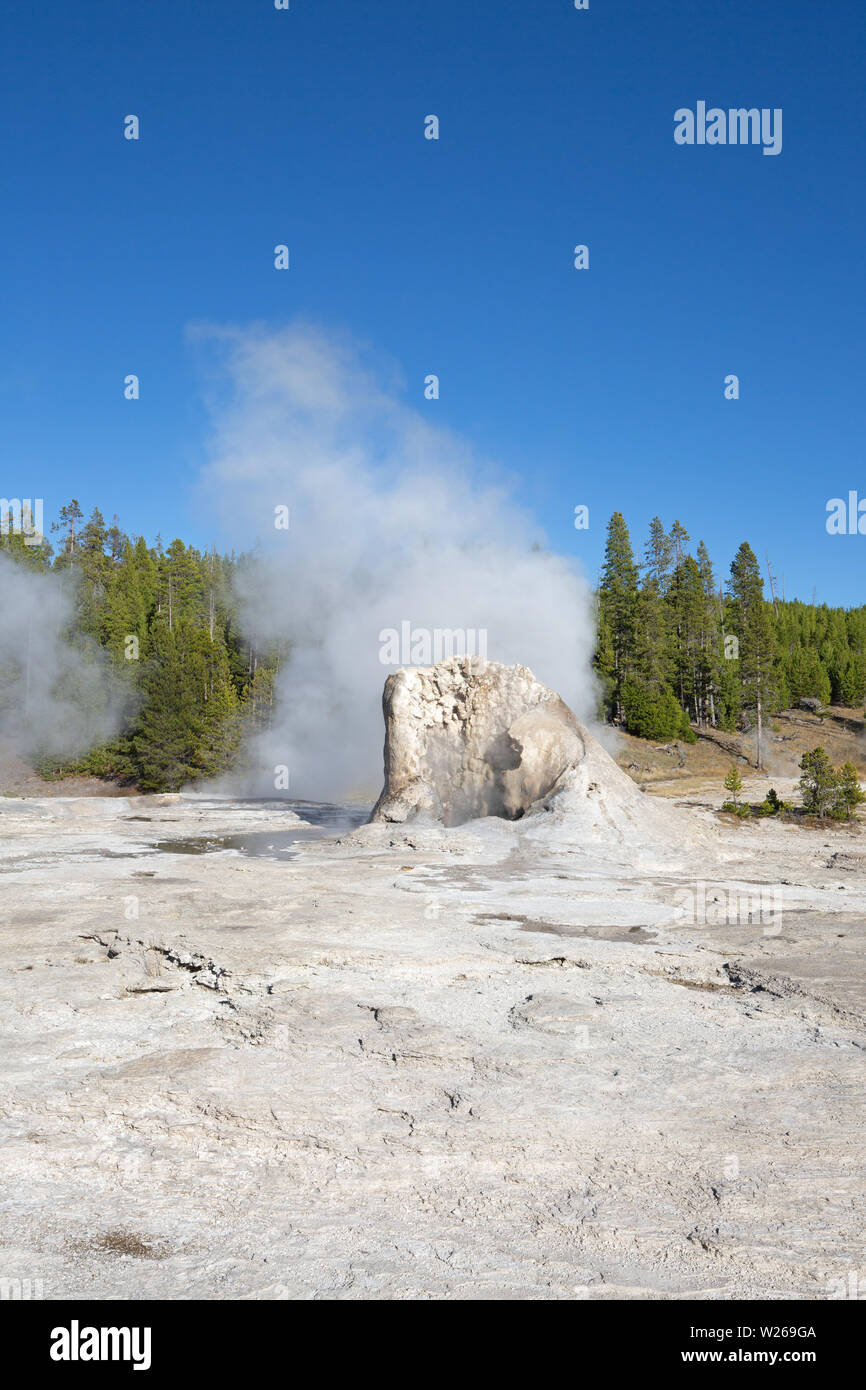 Giant Geyser eruption in the Yellowstone national park, USA Stock Photo ...