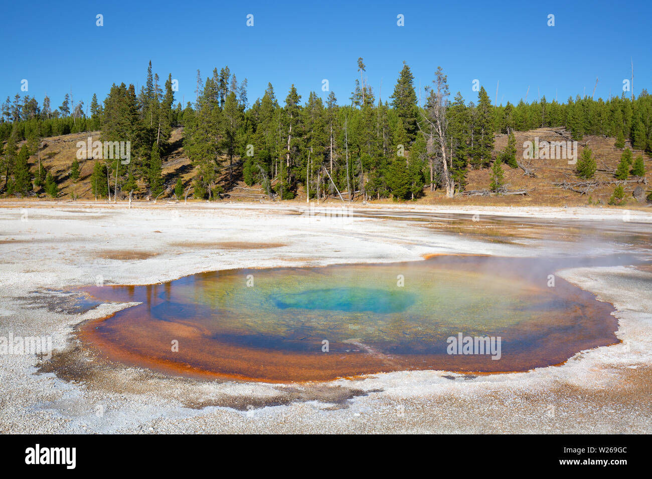 Colorful hot water pool in the Yellowstone National park, USA Stock ...