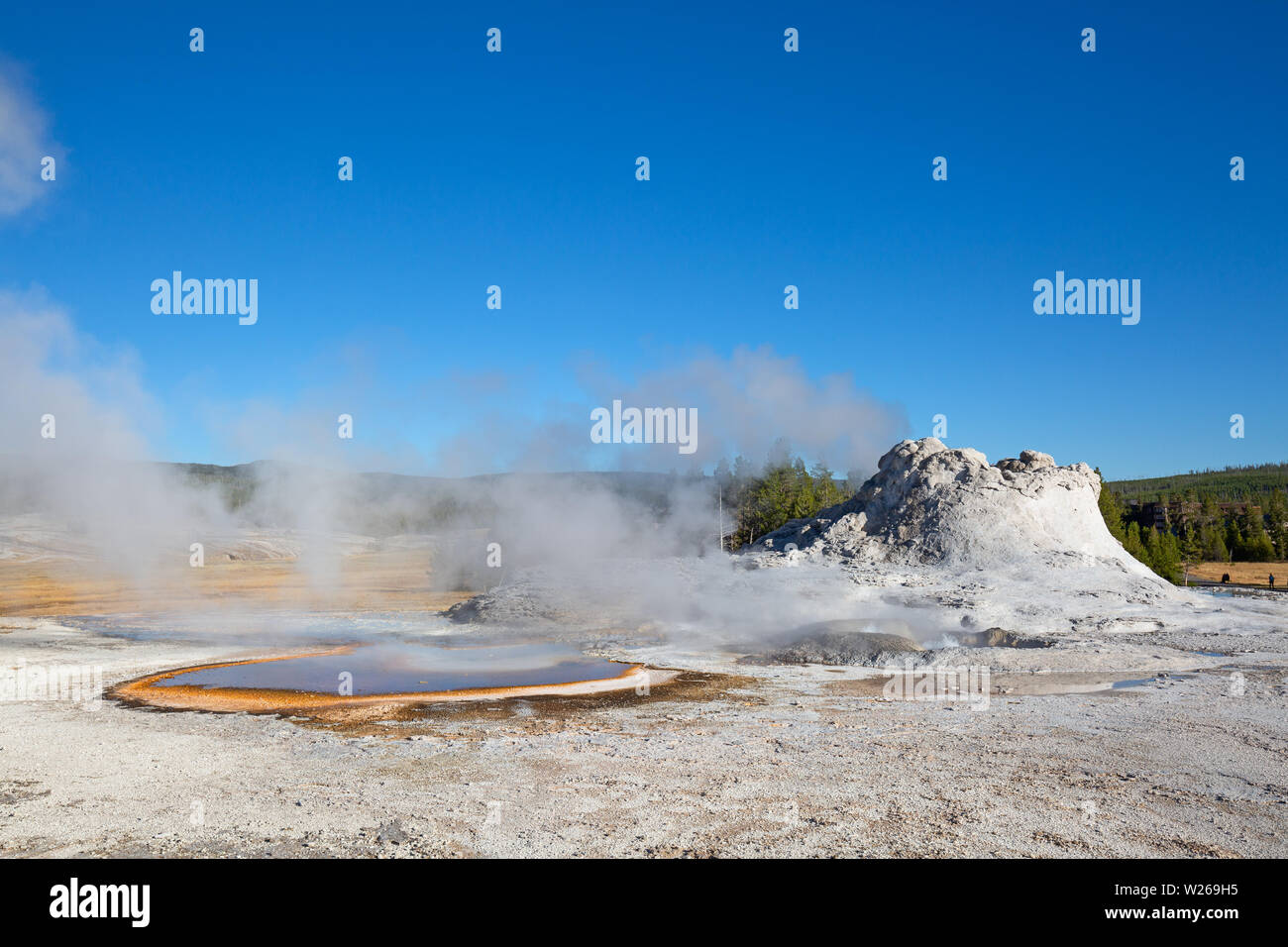 Giant Geyser eruption in the Yellowstone national park, USA Stock Photo ...