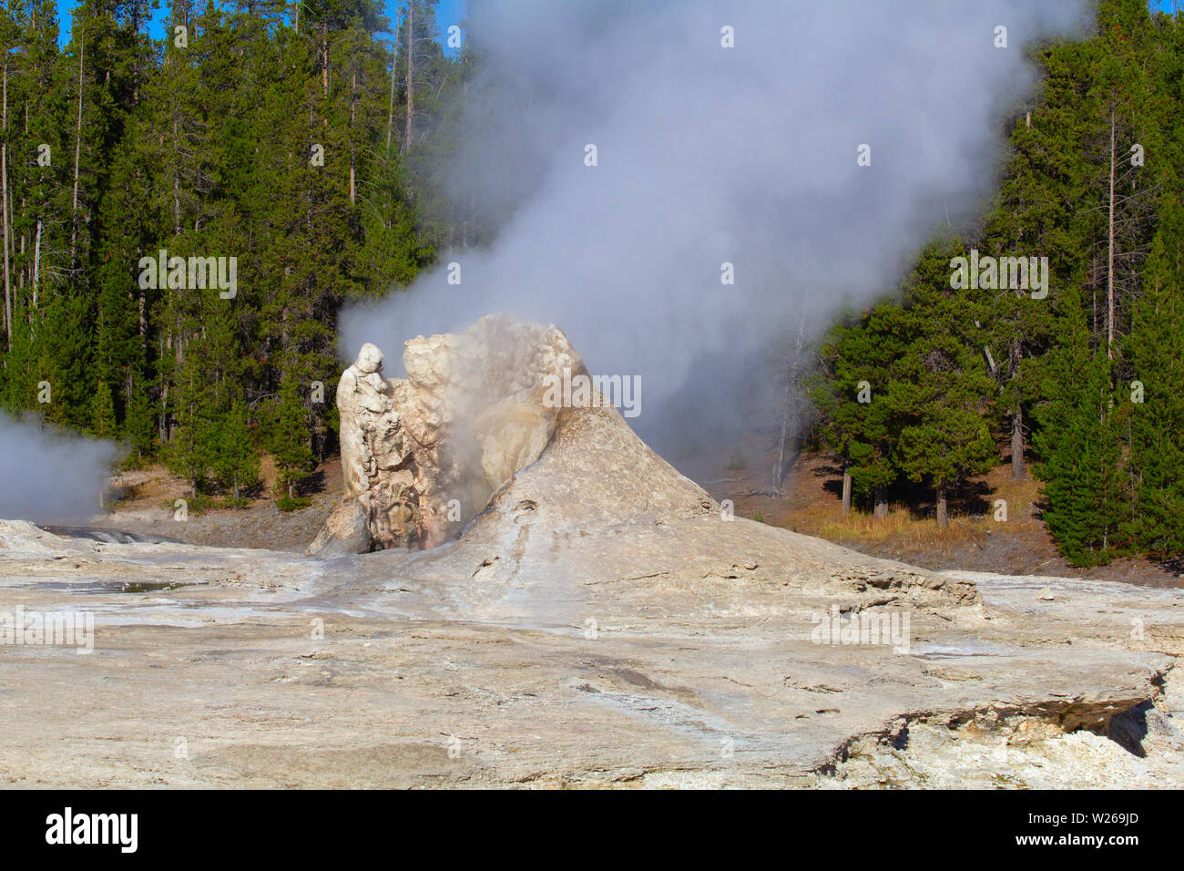 Old Faithful geyser eruption in the Yellowstone national park, USA ...
