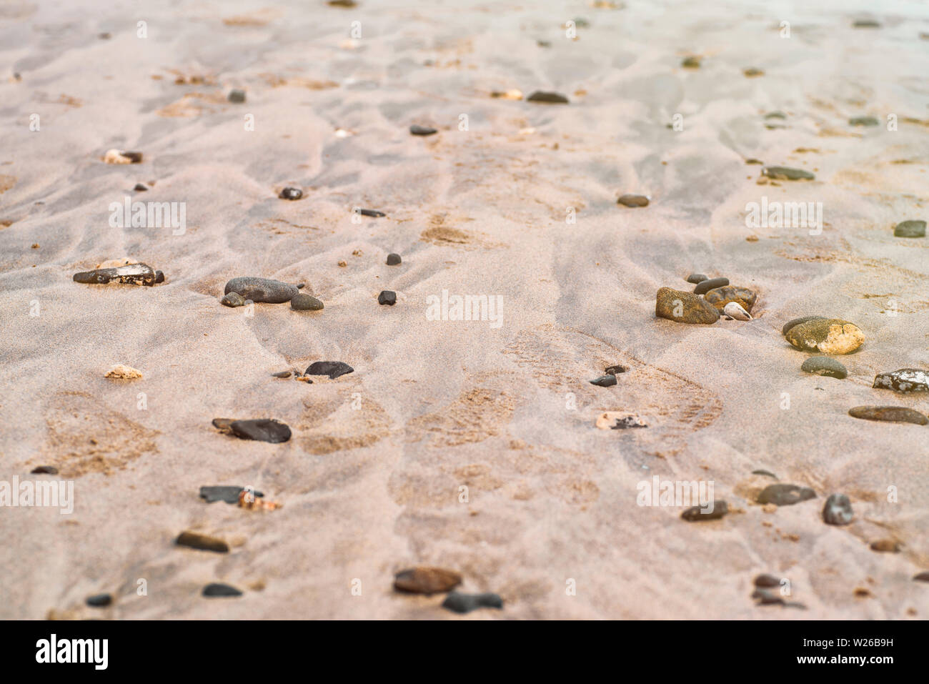 Sea shells on the sandy beach. Sea shells and stones on the sea yellow ...