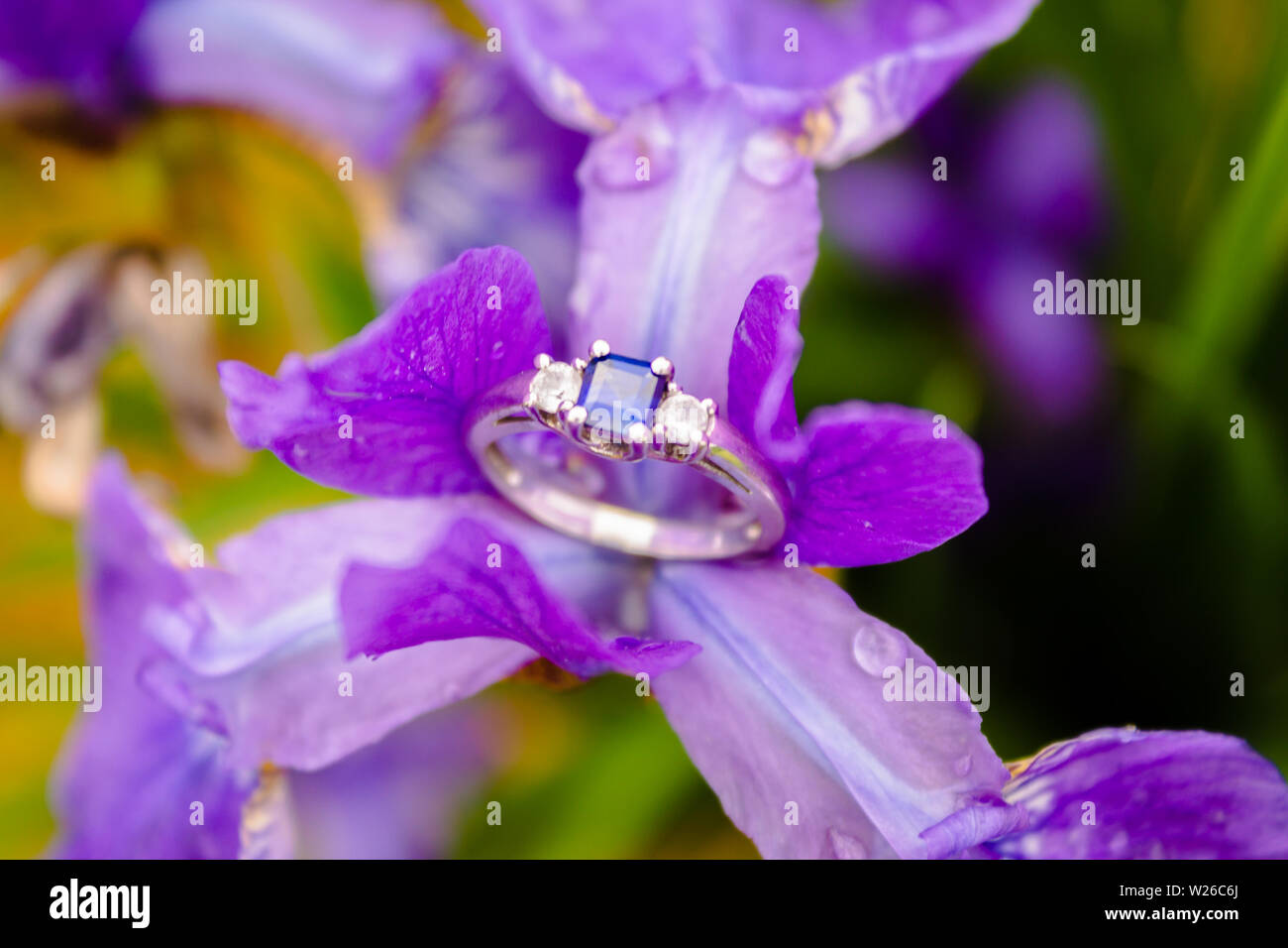Engagement ring perched in a flower over the rain Stock Photo - Alamy