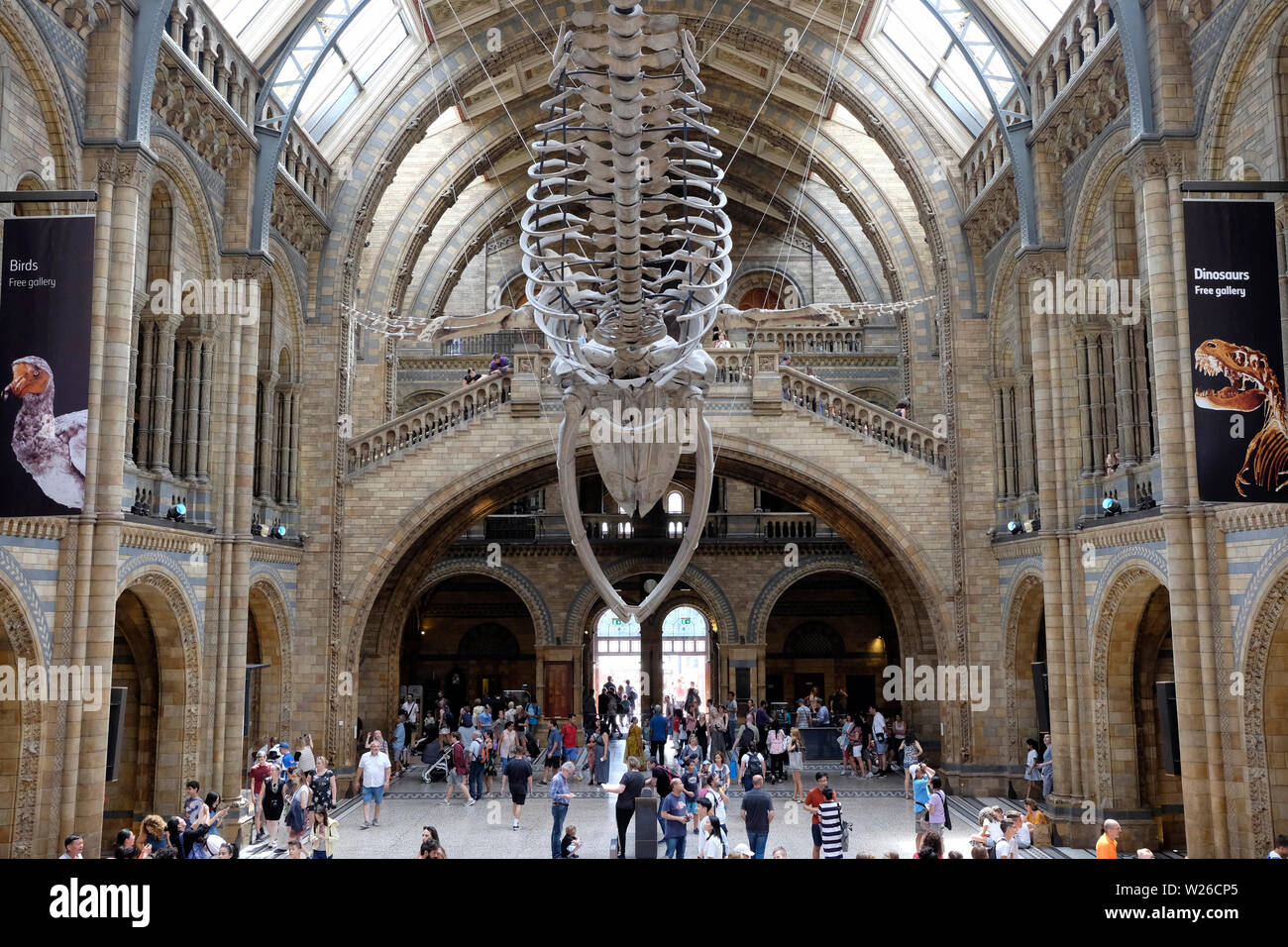 Natural history museum indoors Stock Photo - Alamy