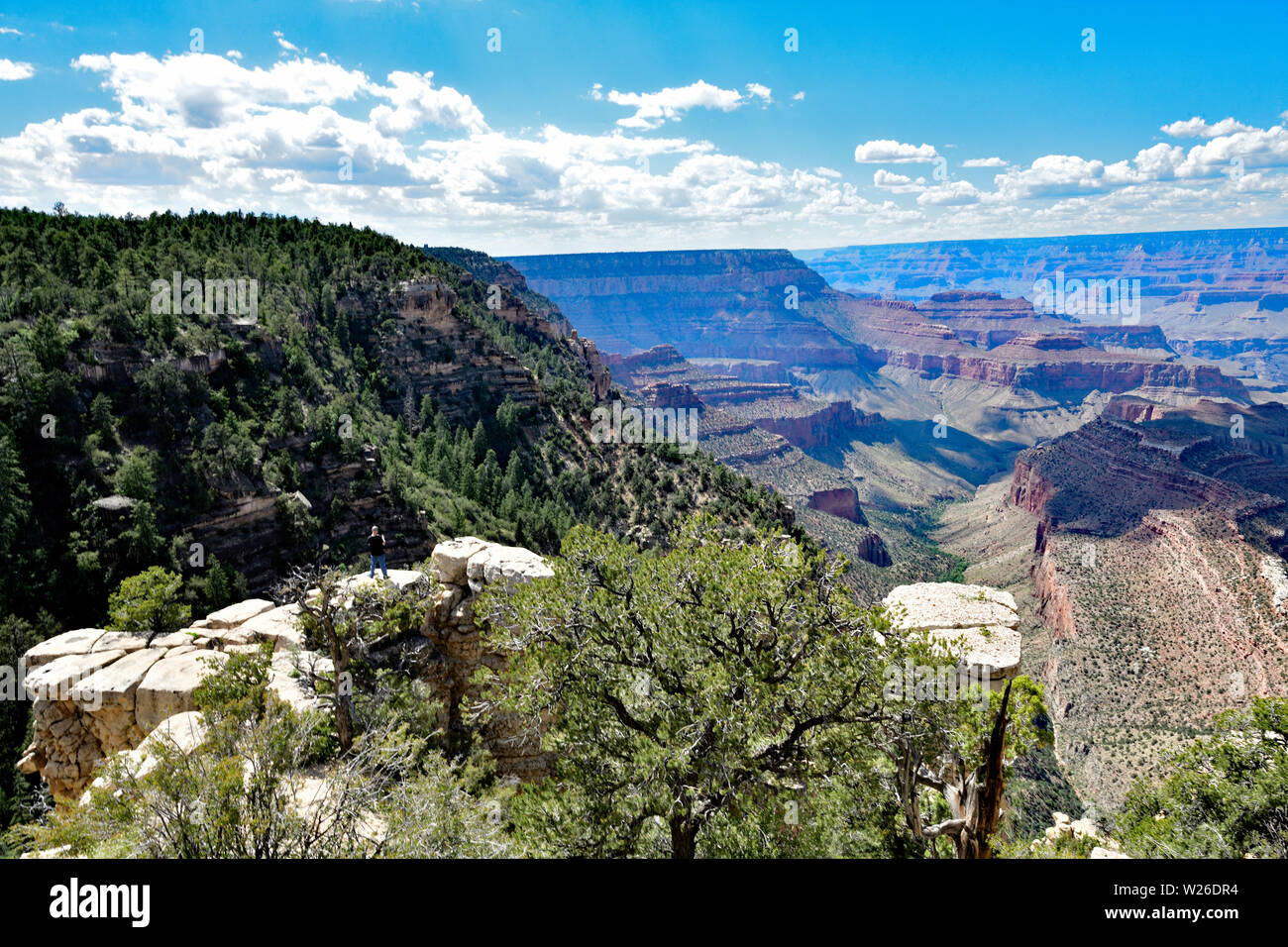 South RIm, Grand Canyon National Park, California, USA Stock Photo - Alamy