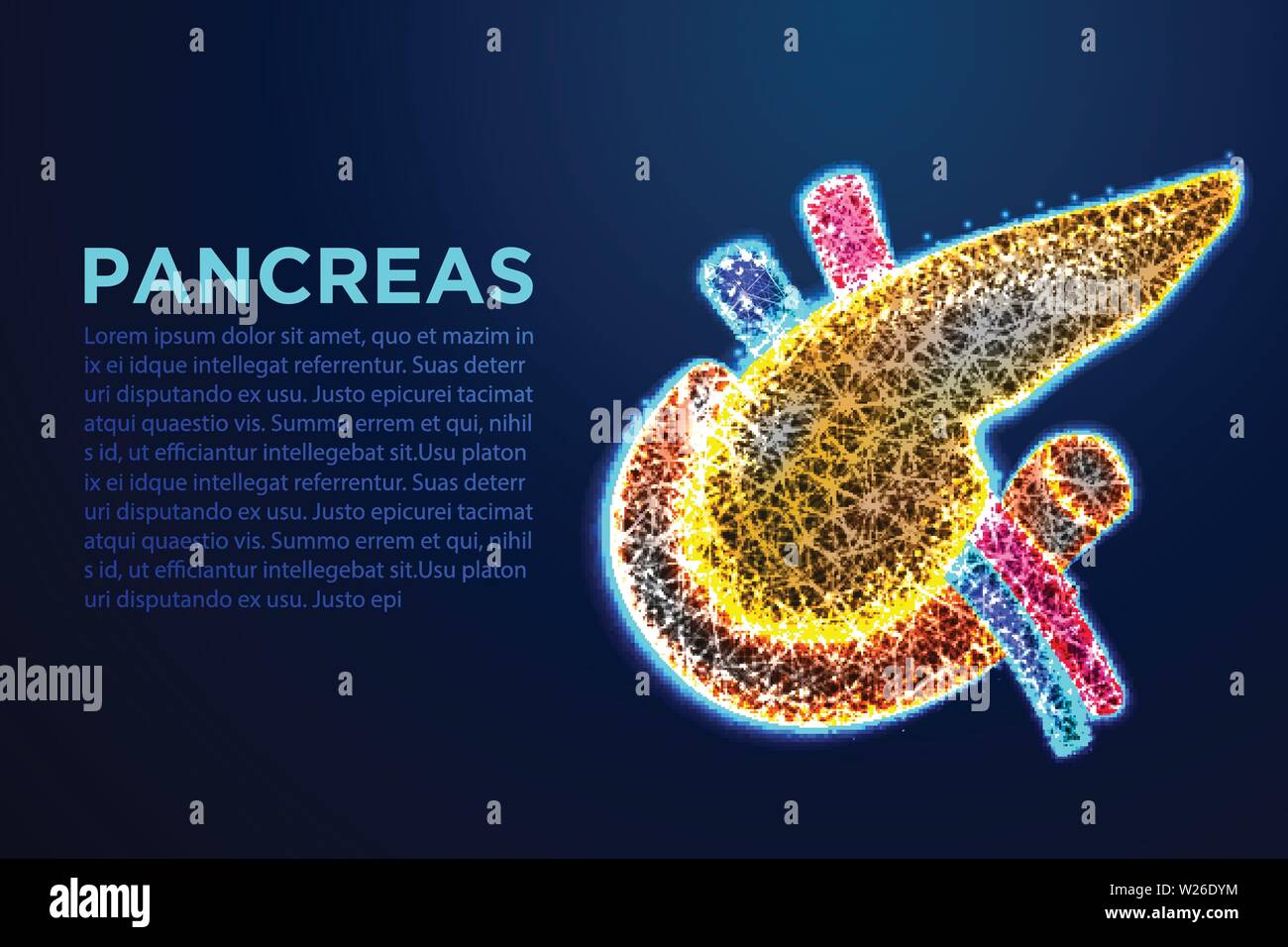Pancreas, Human Anatomy. Abstract low poly wireframe designs. From ...